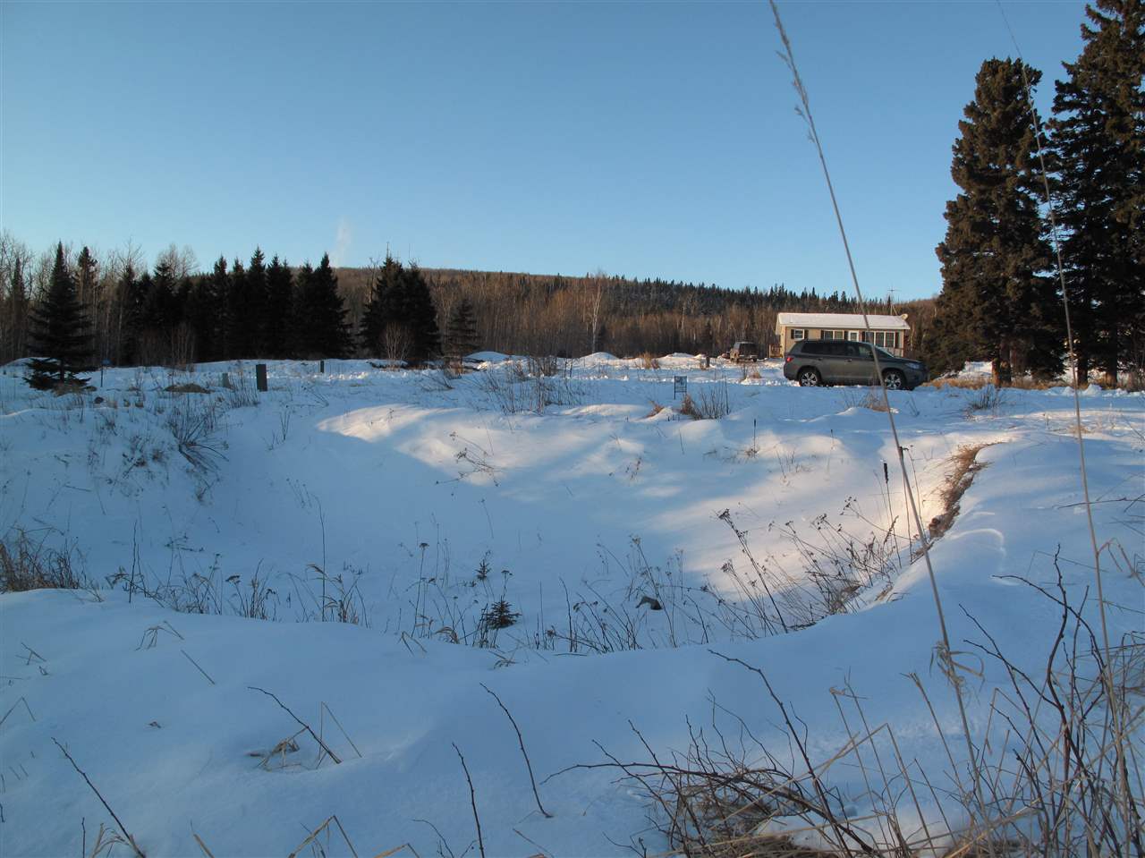 2xx Mink Ranch, Lutsen, MN 55612