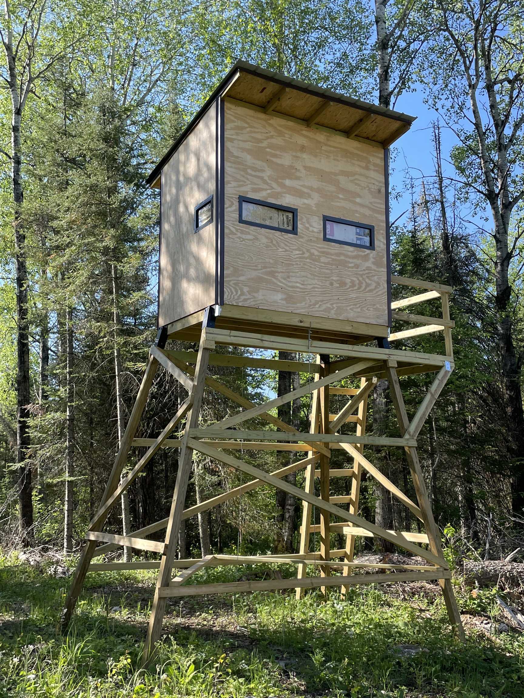 7799 Hanka-Nevala Rd, Embarrass, MN 55732 | $180,000 | SF/Detached | Sold