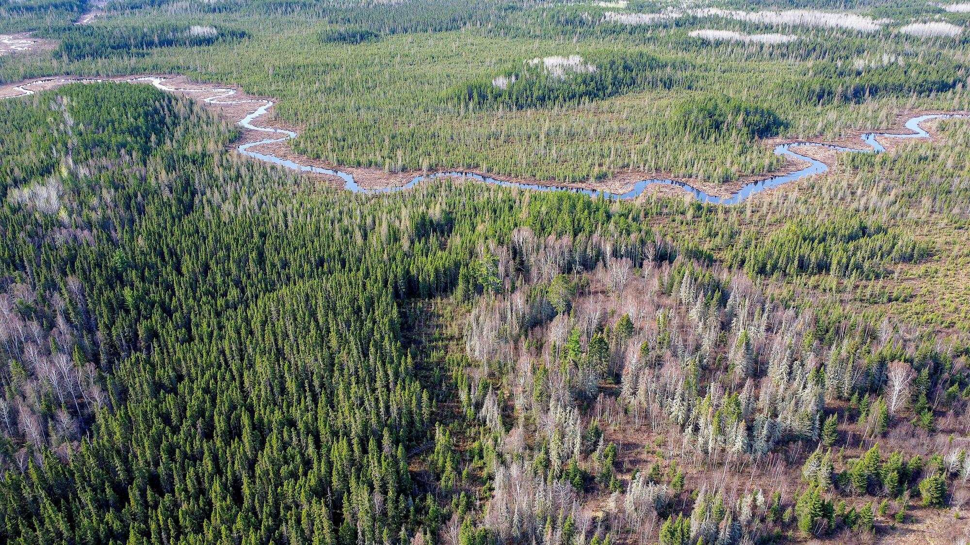 Lots and Land for sale in Isabella, Minnesota, 6109006