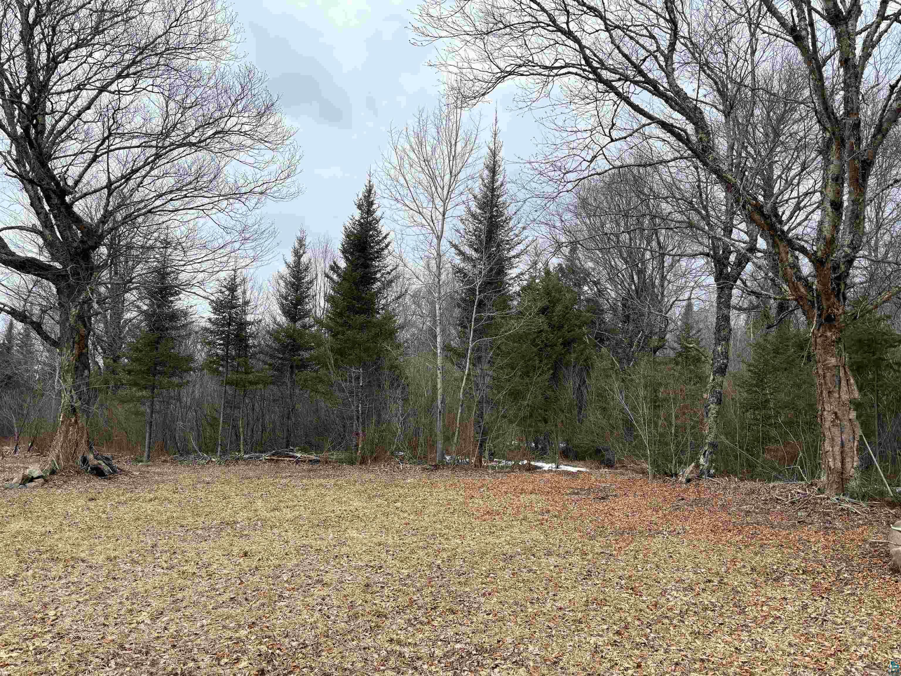xxx Stony River Forest Rd for sale in Isabella, Minnesota, MLS ID ...