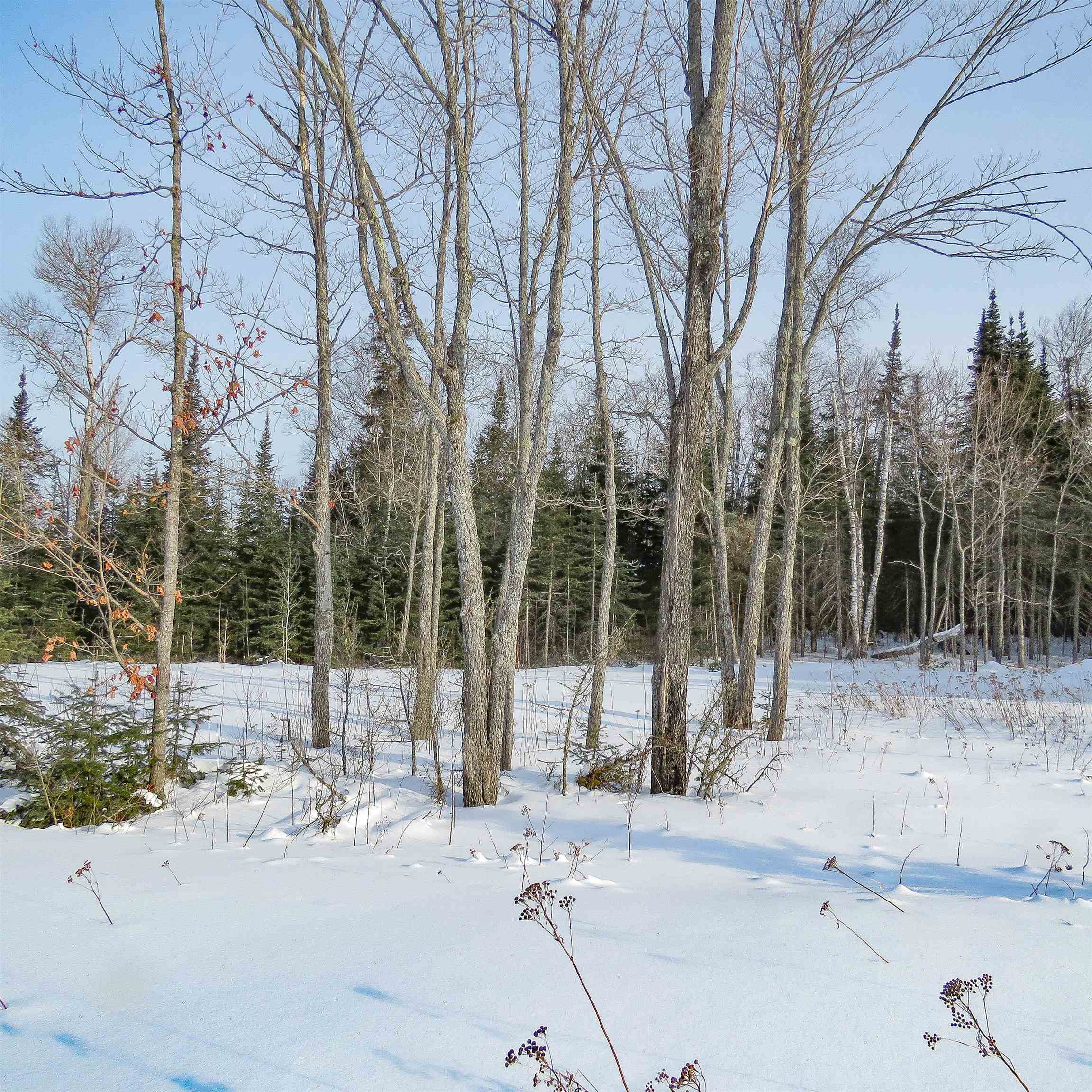 6790 Village Ct for sale in Finland, Minnesota, MLS ID 6113407 Bear ...