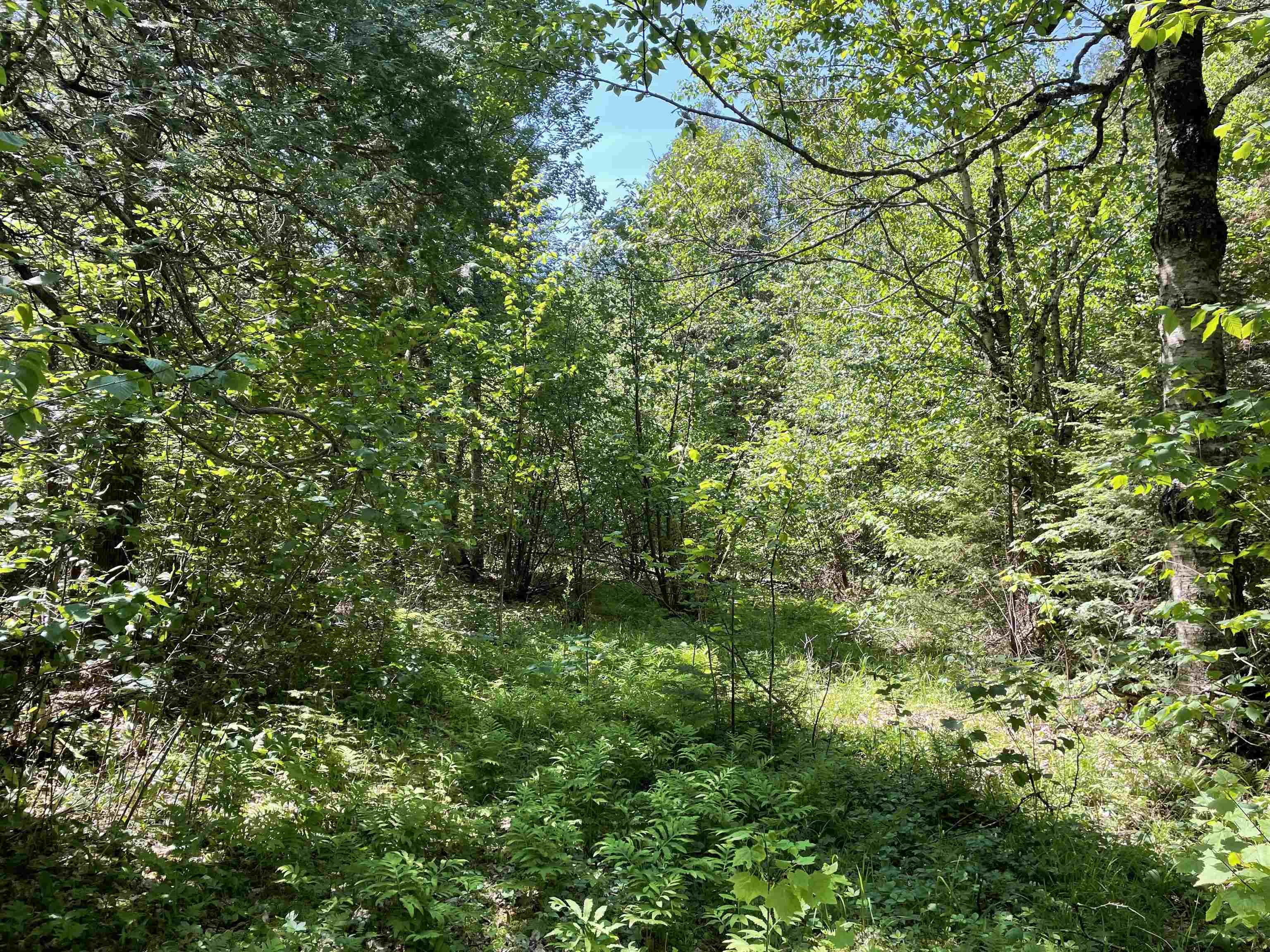 xxx Stony River Forest Rd for sale in Isabella, Minnesota, MLS ID ...