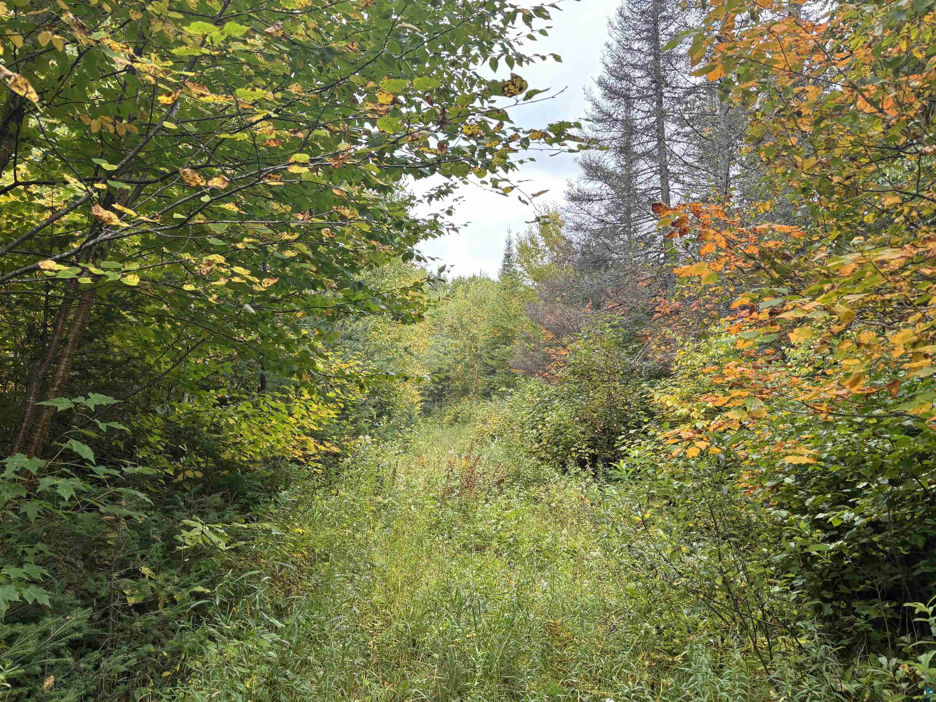 xxx Stony River Forest Rd for sale in Isabella, Minnesota, MLS ID ...